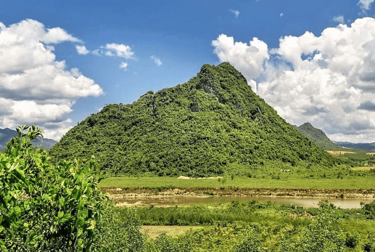 Demilitarized Zone (DMZ) Vietnam - Culture Pham Travel