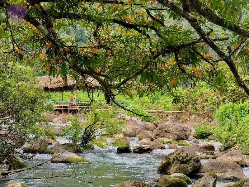 Mooc Spring Phong Nha, Vietnam - Culture Pham Travel