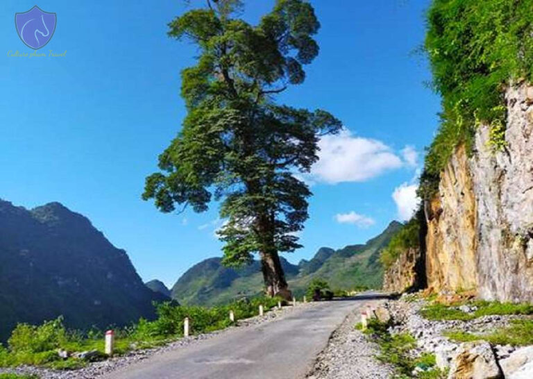 Quan Ba Heaven Gate - Quan Ba Twin Mountain - Culture Pham Travel