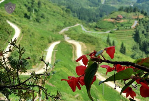 Quan Ba Heaven Gate - Quan Ba Twin Mountain - Culture Pham Travel