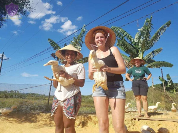 The Duck Stop Phong Nha In Bong Lai Valley - Culture Pham Travel